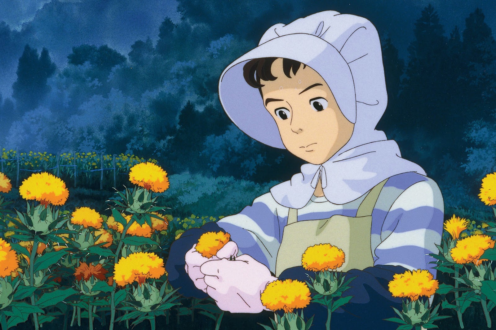 School Of Animation August 2015 school-of-animation-august-2015
