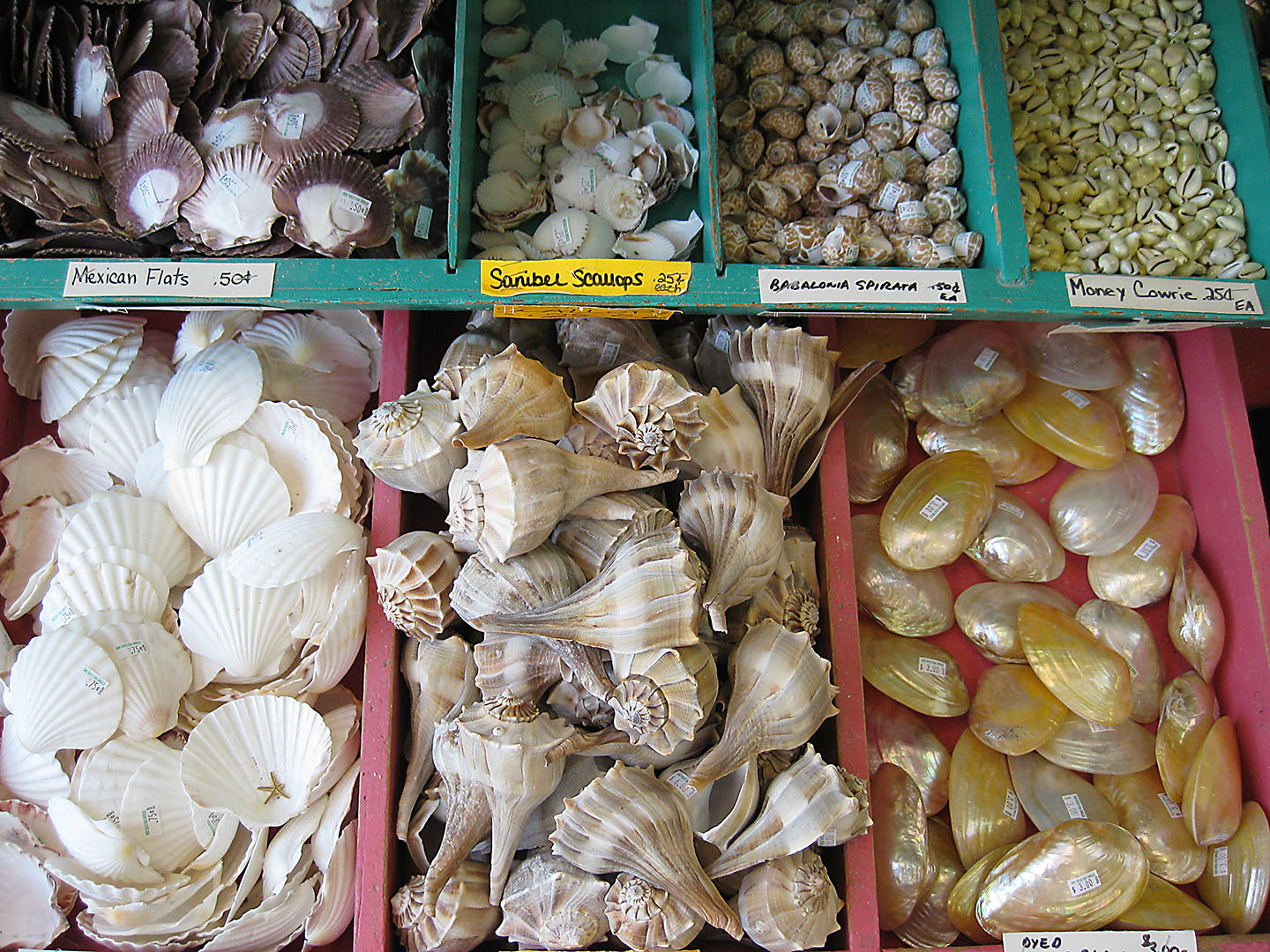 Sanibel Island - Lighthouse Beach and the Seashell Museum