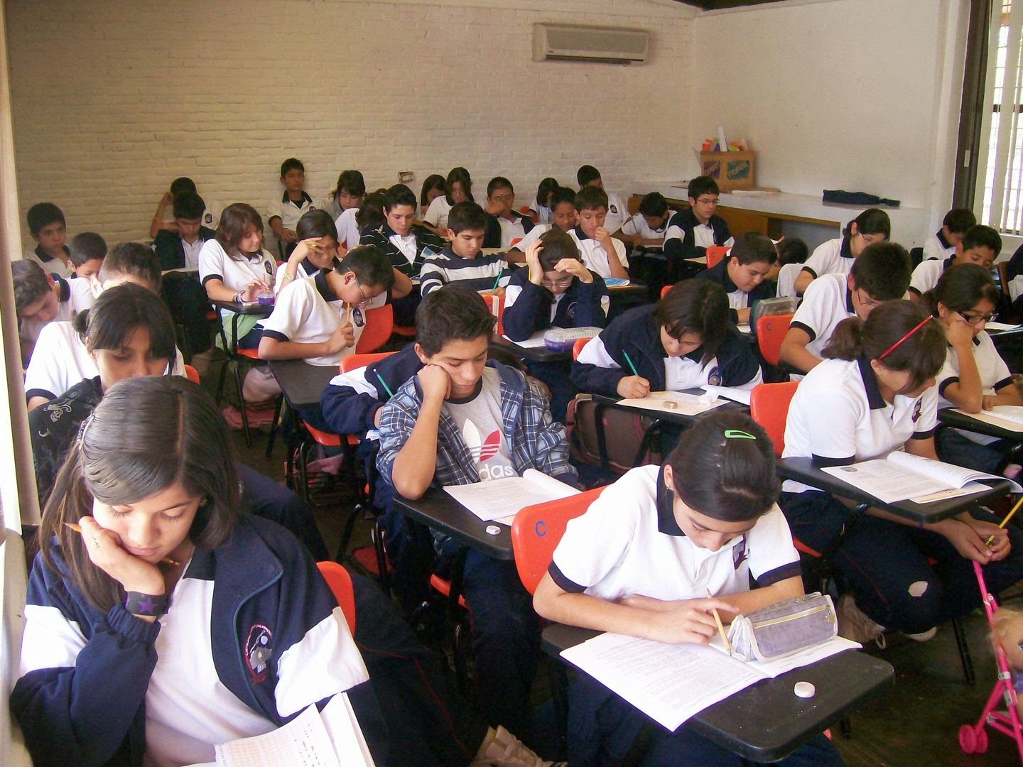 DIARIO DE CLASE: Primaria y secundaria