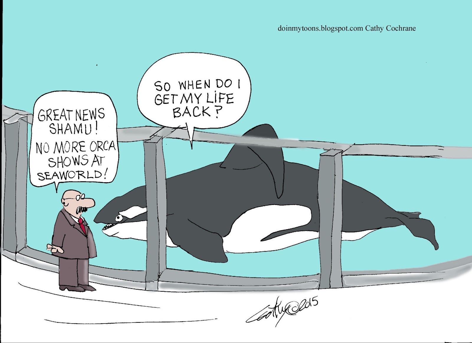 DoinMyToons: What's Next, Shamu?