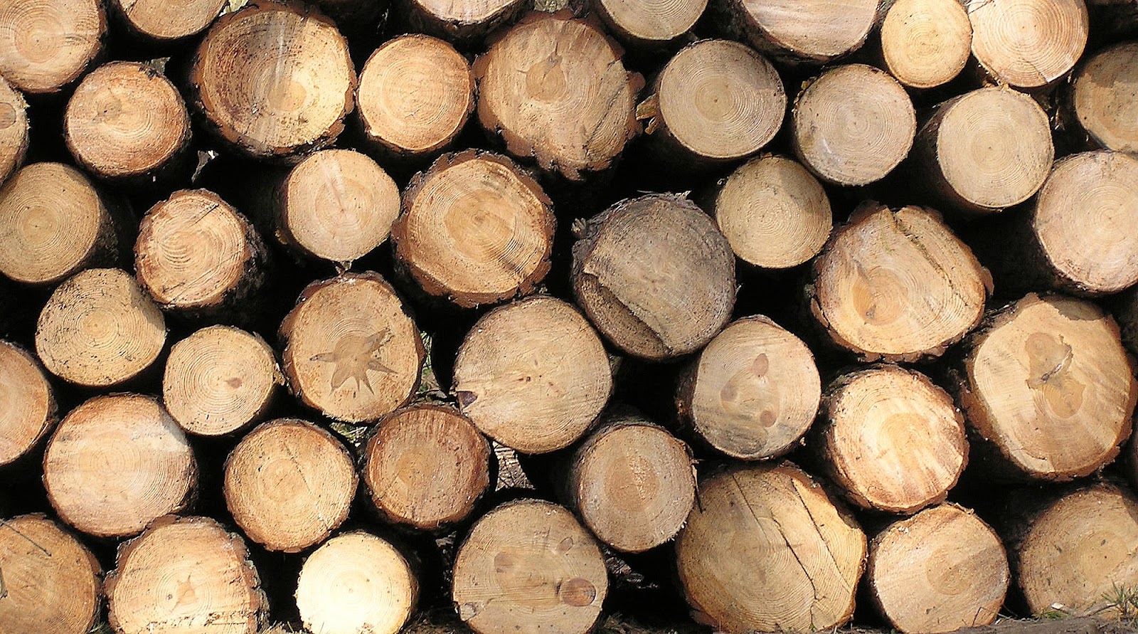 Thư viện 3D: [Mapping] WOOD TEXTURES