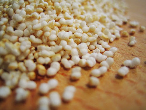 Πατλάκια αμαράνθου (pop amaranth)