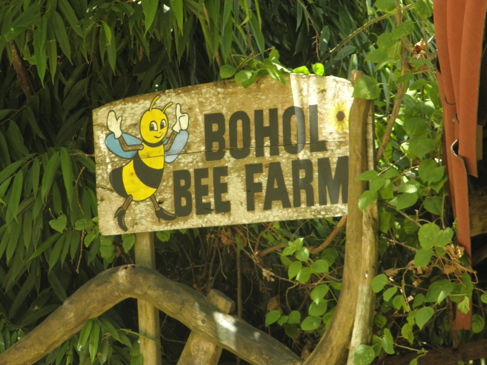 Mama Speaks: Bohol Bee Farm