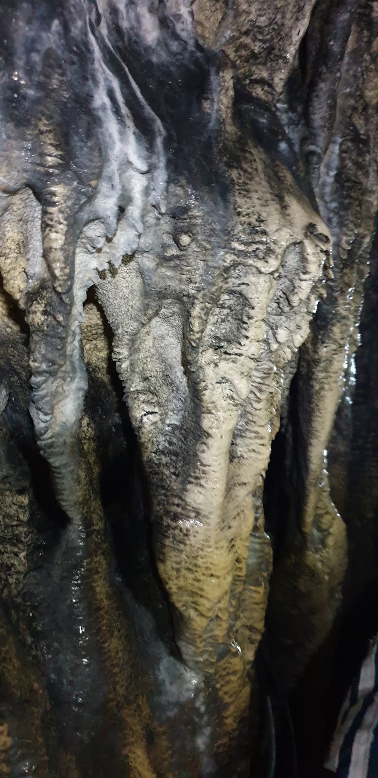 Pasionati de frumos !: Cheile Șugău - Peștera Tunel - Peștera Munticelu ...