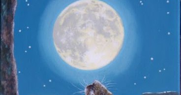 September's Rabbit in Argyle: First March Weekend