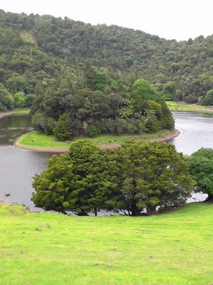 Ruma 1 @ Tautoro School: Ko Tauanui te maunga. Ko Kereru te roto. Te ...