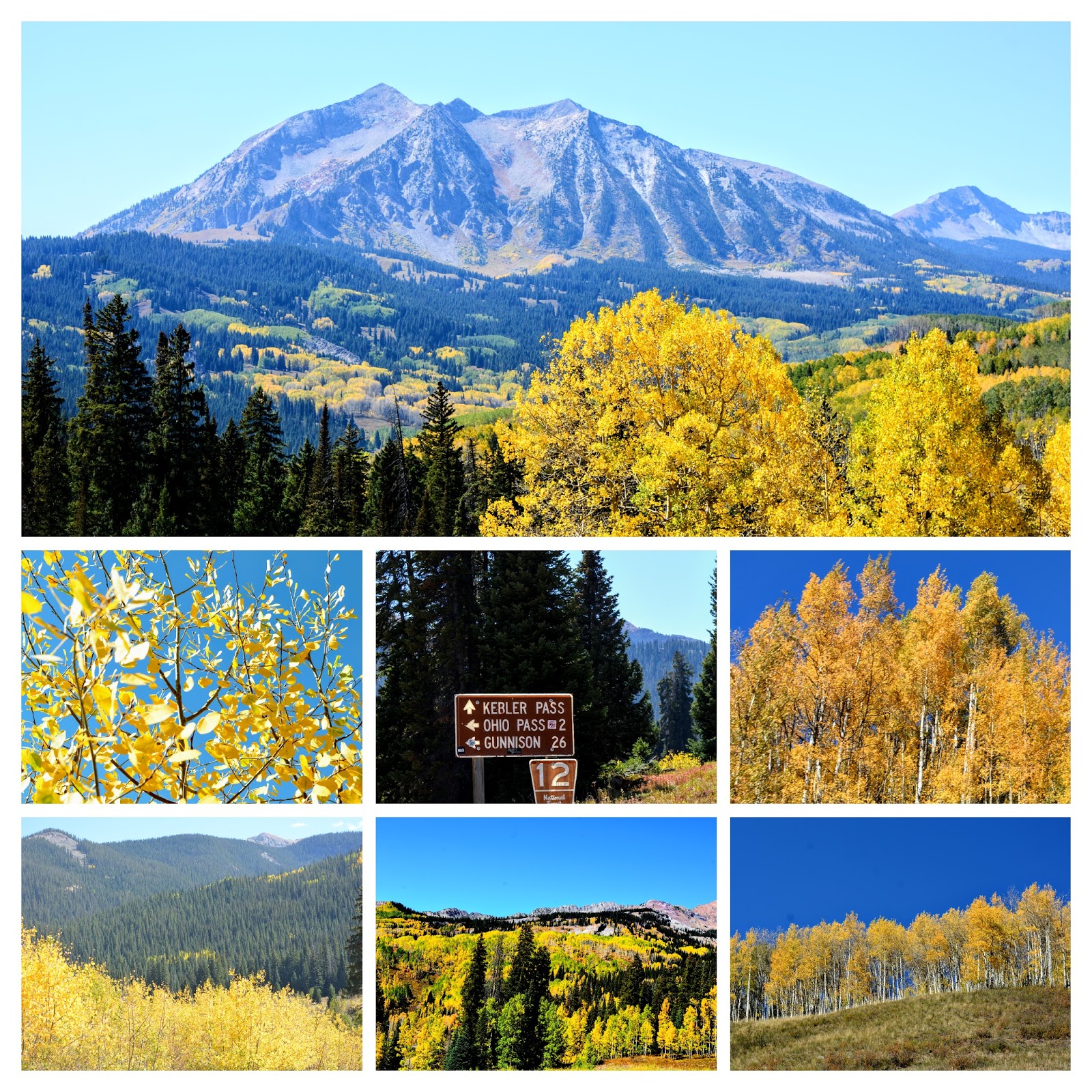 Mille Fiori Favoriti: West Elk Loop Scenic Byway and Kebler Pass