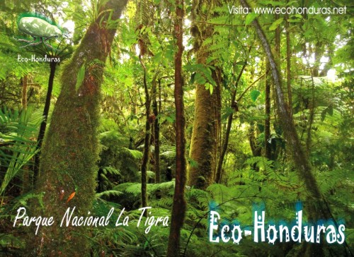 Turismo en Honduras.: AREAS PROTEGIDAS.