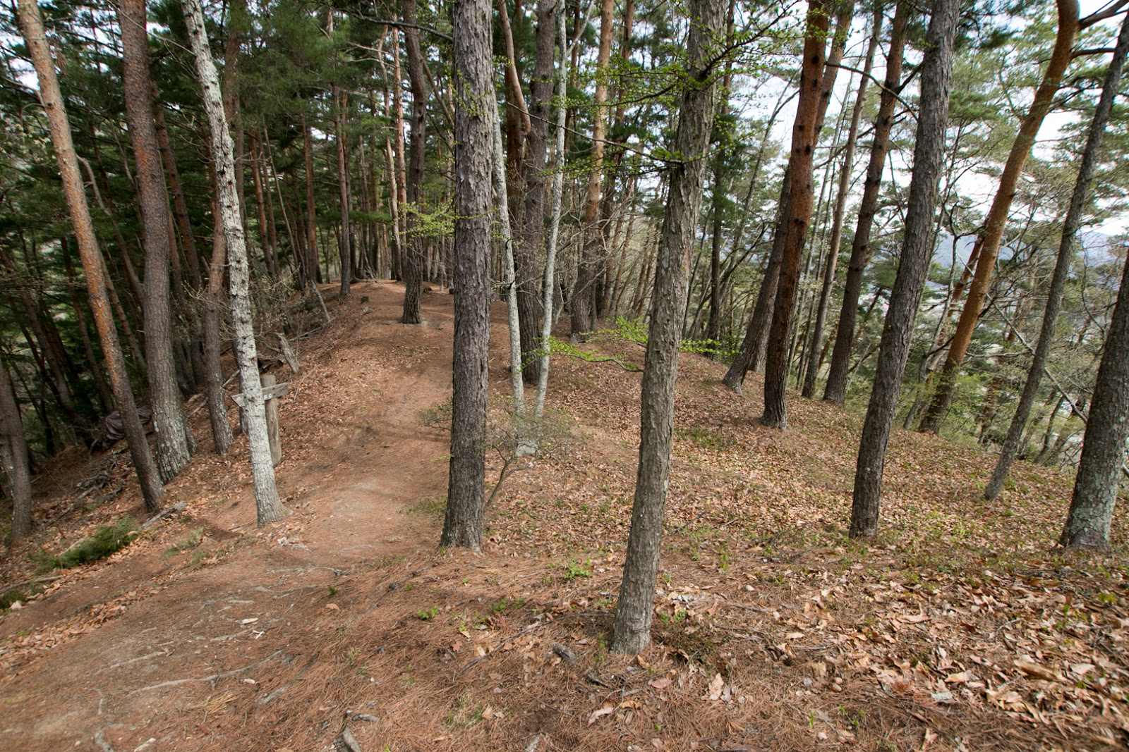 Toishi Castle -Might and plot- | Japan Castle Explorer