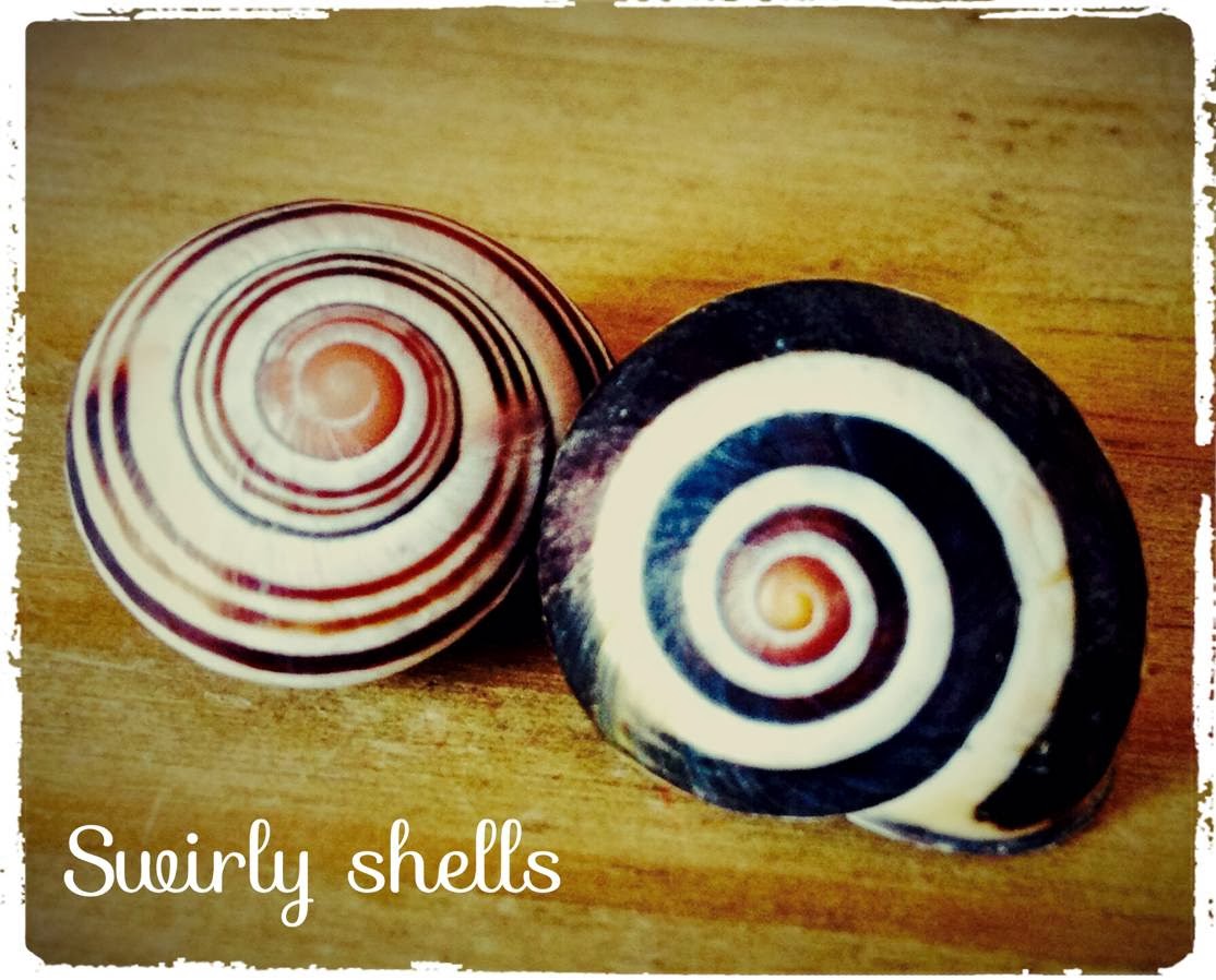 Eilish Tree: Two little shells...