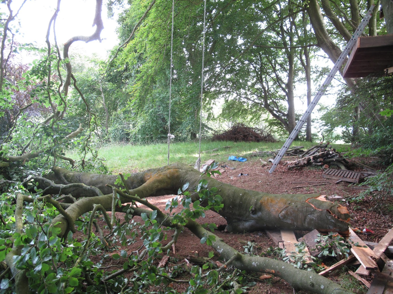 Nelly's Garden: Summer Branch Drop