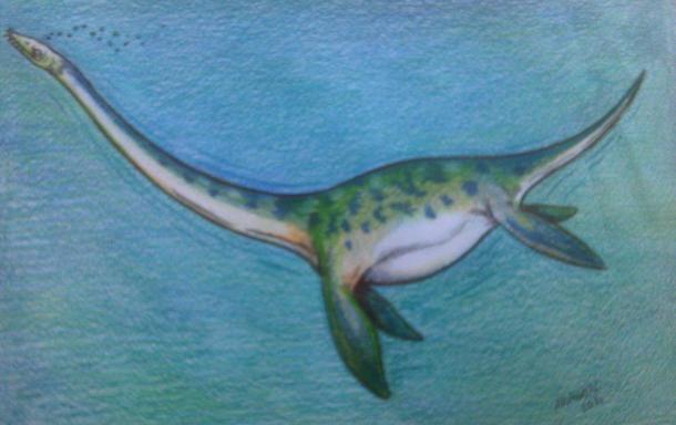 LOS ANIMALES PREHISTORICOS DE CHILE: PLESIOSAURIOS EN CHILE.