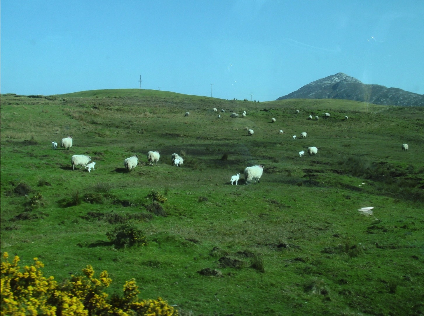 Take Memories and Leave Footprints: The Connemara, Ireland