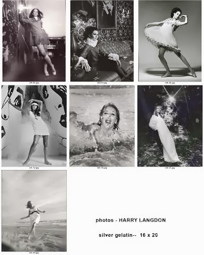 THE OFFICIAL BLOG OF HARRY LANGDON: 2014