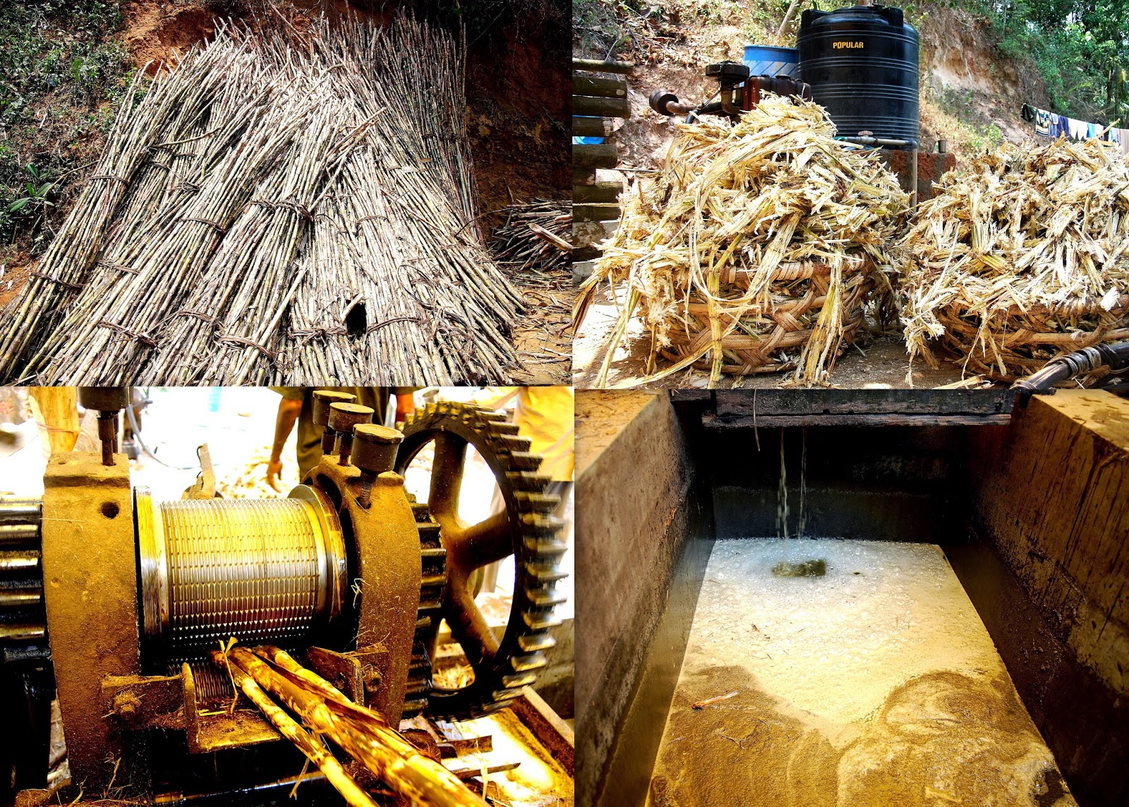 Heritage Retold.....: Joy of Joni Bella of Haigunda