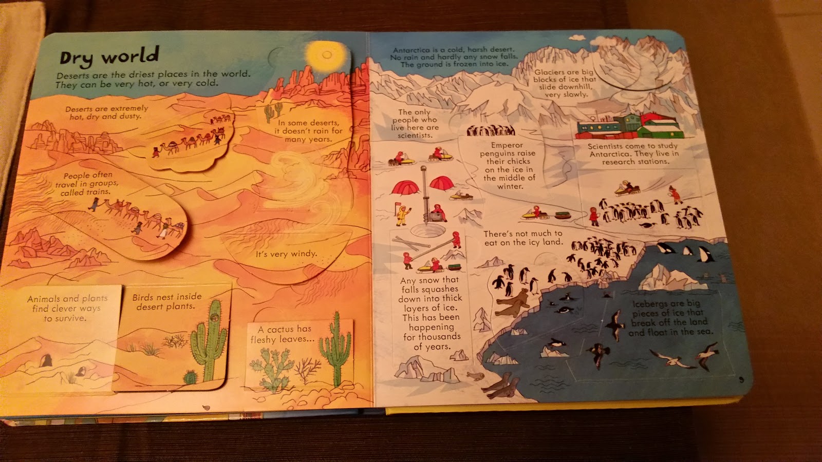 Classroom to Homeroom: Our Country, Our World (Natural Learning ...