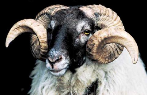 Diario de Ayer: junio 2011