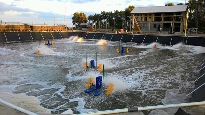 Wadah Budidaya Perikanan : Tambak - Lalaukan