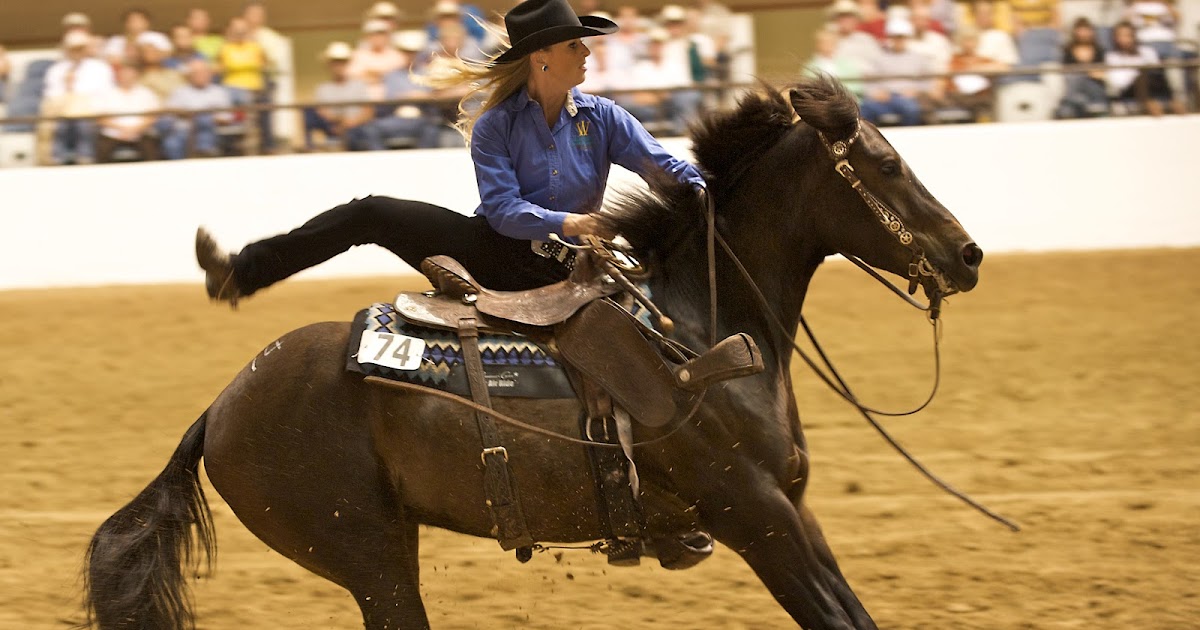 Boulder International Film Festival: PREVIEW: "Wild Horse, Wild Ride"