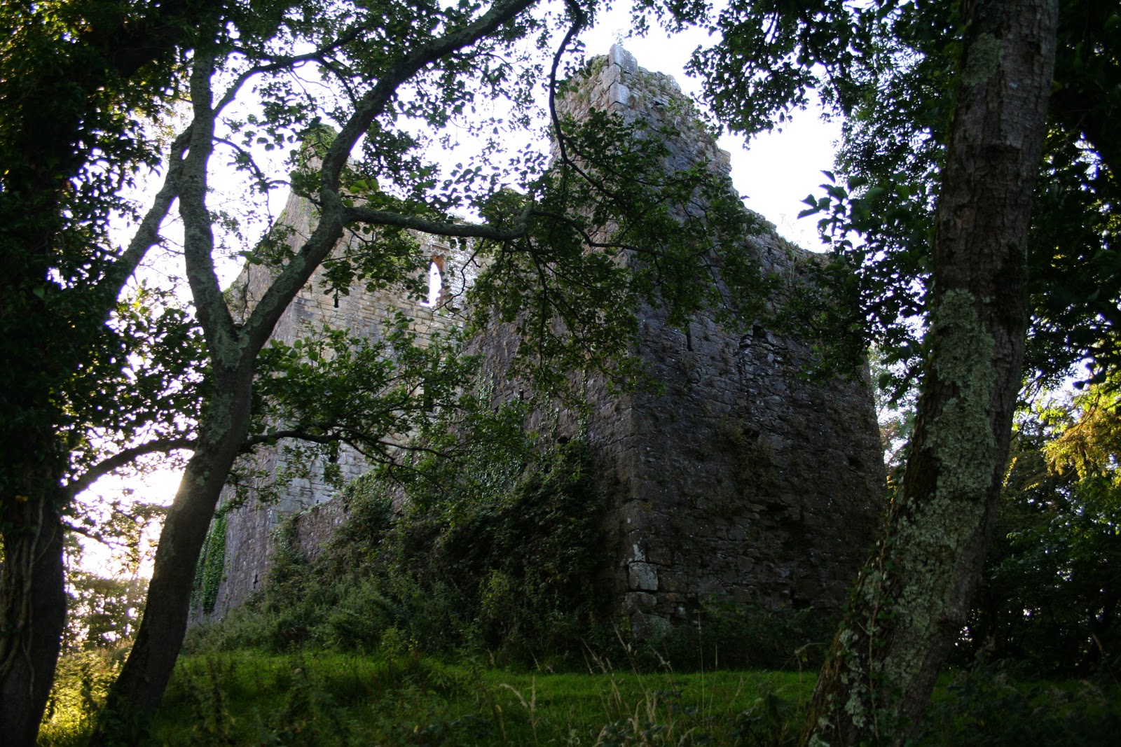 Líníocht Blog - blog of J G O'Donoghue: Kilcrea Abbey & Castle