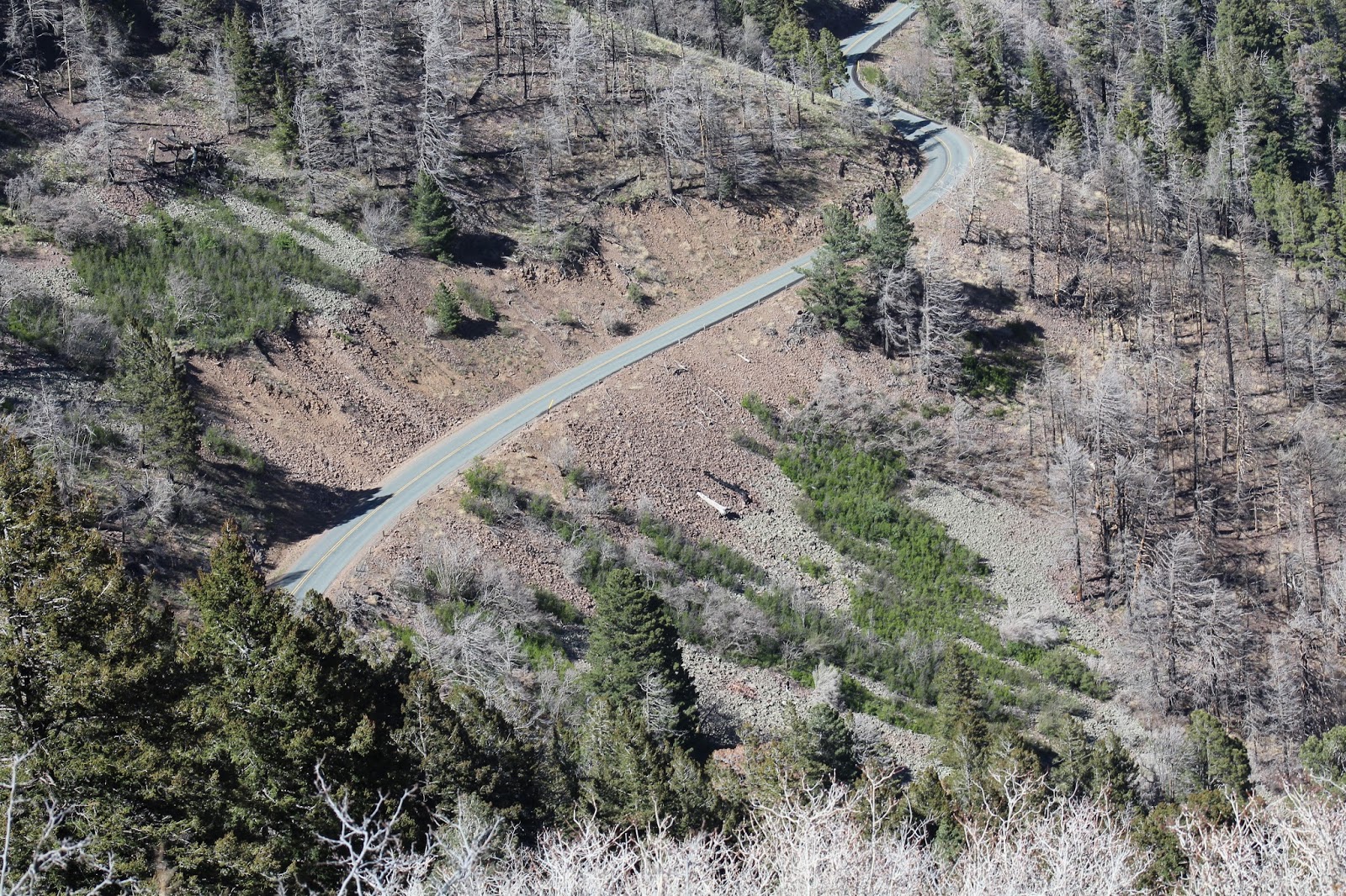 Restless Wilson's: Tall Mountains and the Real Rolling Turd