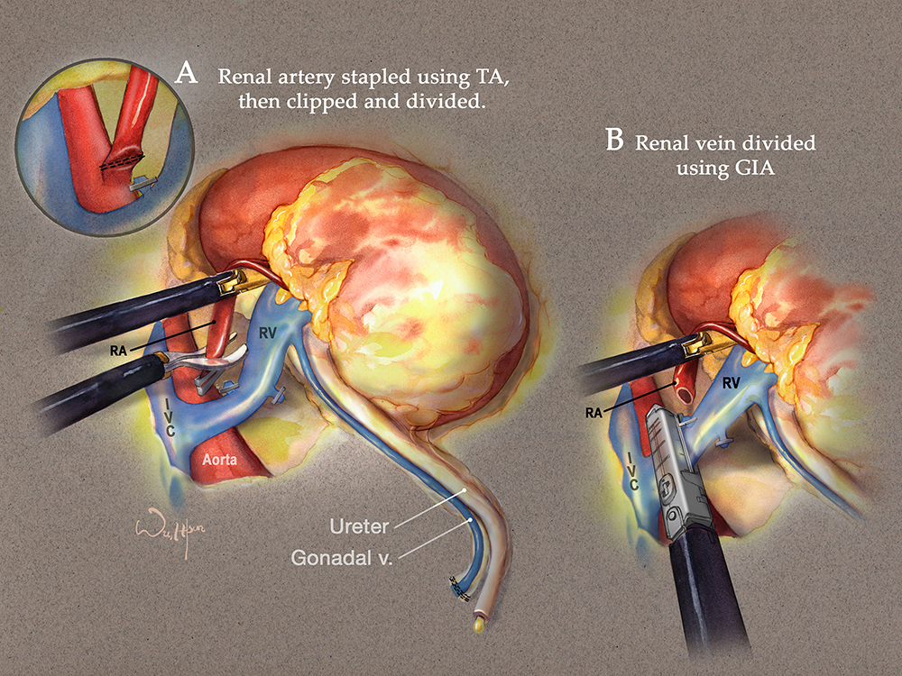 Journals and Conferences on surgery