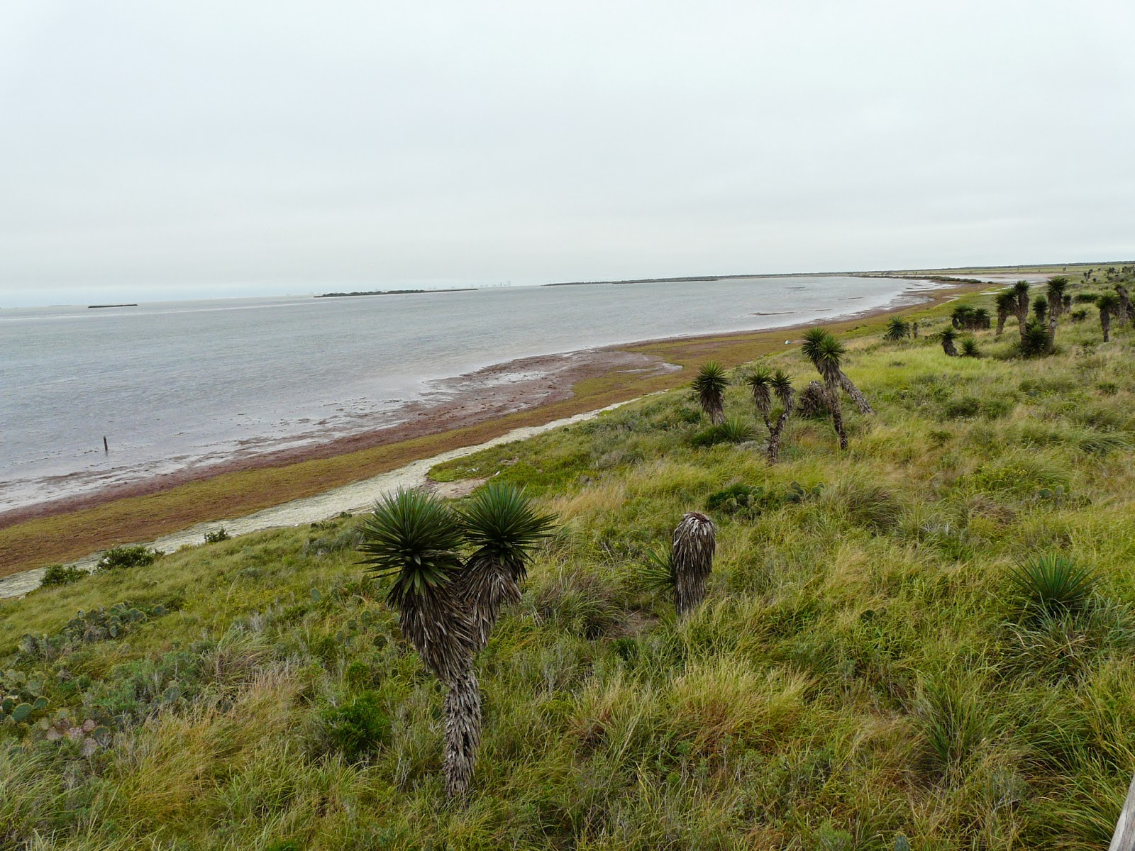 Archiving throughout Arizona, New Mexico, Oklahoma, and Texas: Laguna ...