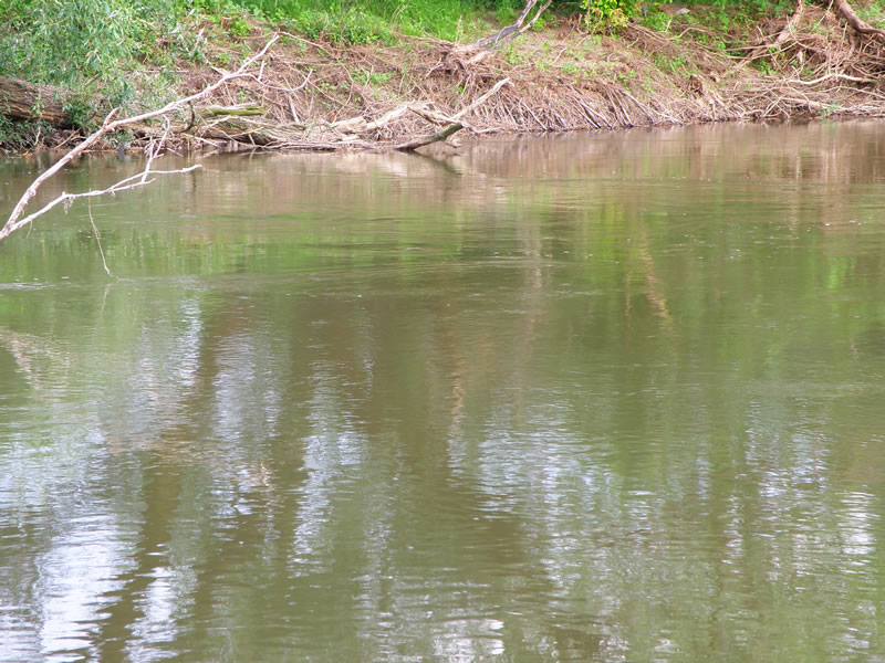 Pecanje saveti: Pecanje skobalja u mirnim vodama