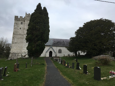 The History Girls: The Defynnog Yew, a remarkable tree! by Katherine ...