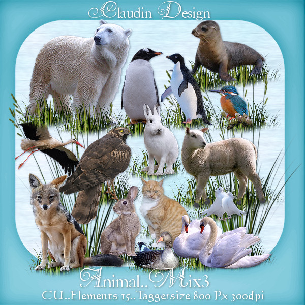 Claudin Design: Animal Mix 3....Freebie