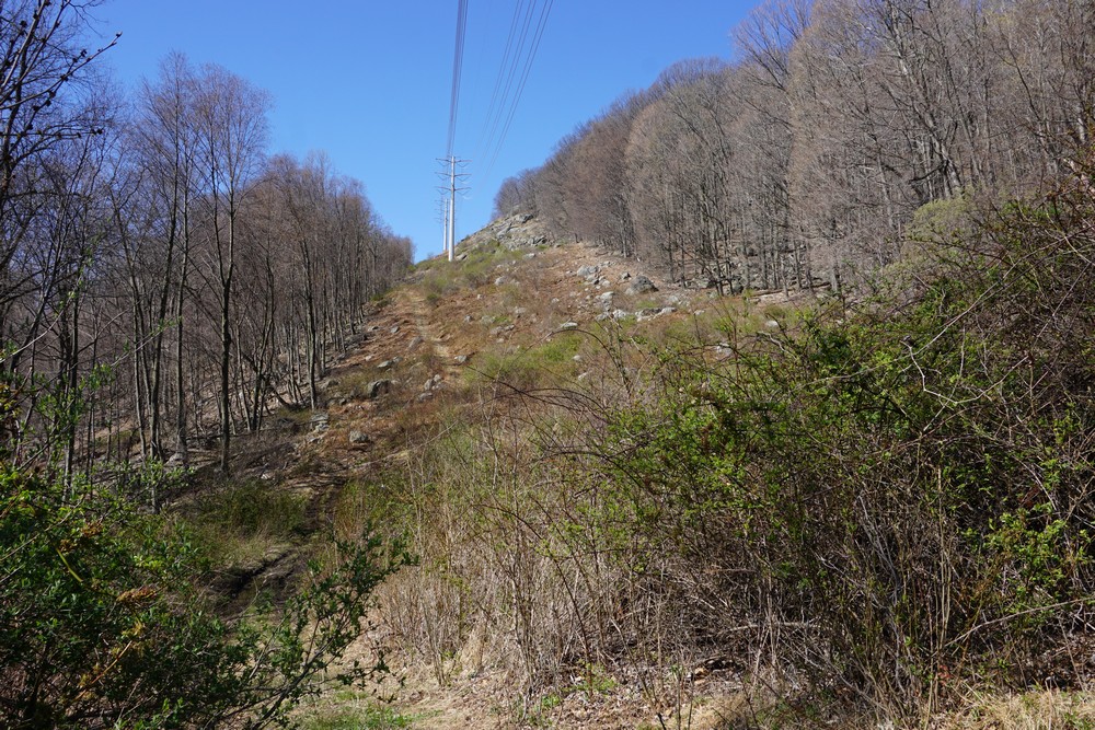 Harriman Hiker: Harriman State Park and Beyond: Catamount Mountain ...