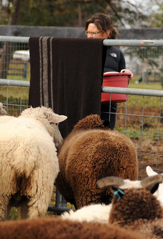 Punkin's Patch: The God Of Simple Shepherds