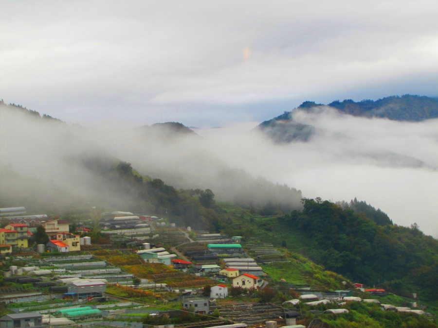 Puli, Wushe & Cingjing Farms, Taiwan (浦里/霧社/情境农场)