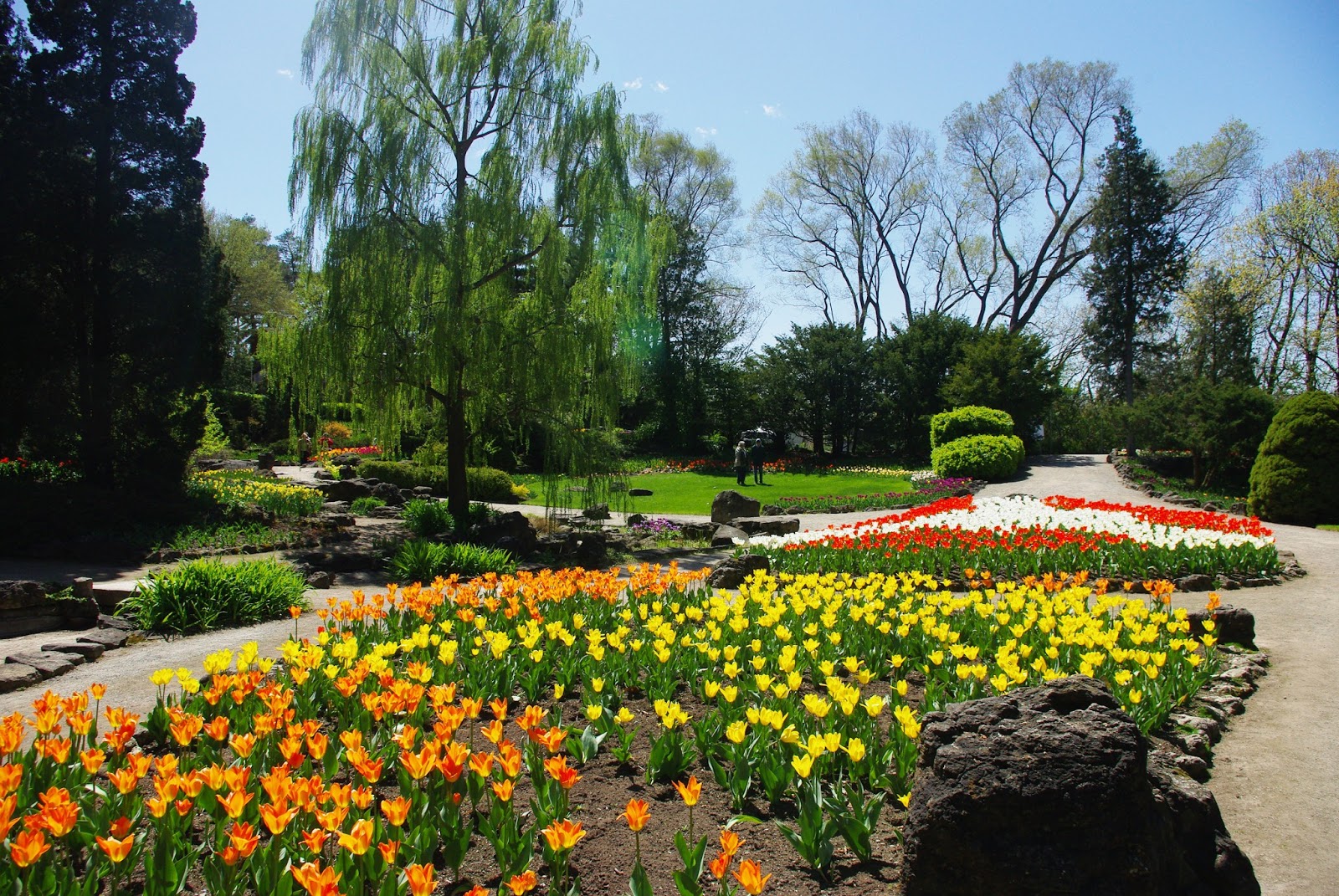 Majestic Royal Botanical Gardens in Toronto (PHOTOS) : Places : BOOMSbeat
