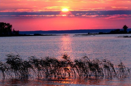 Maagiline loodus: Hej Rootsi!