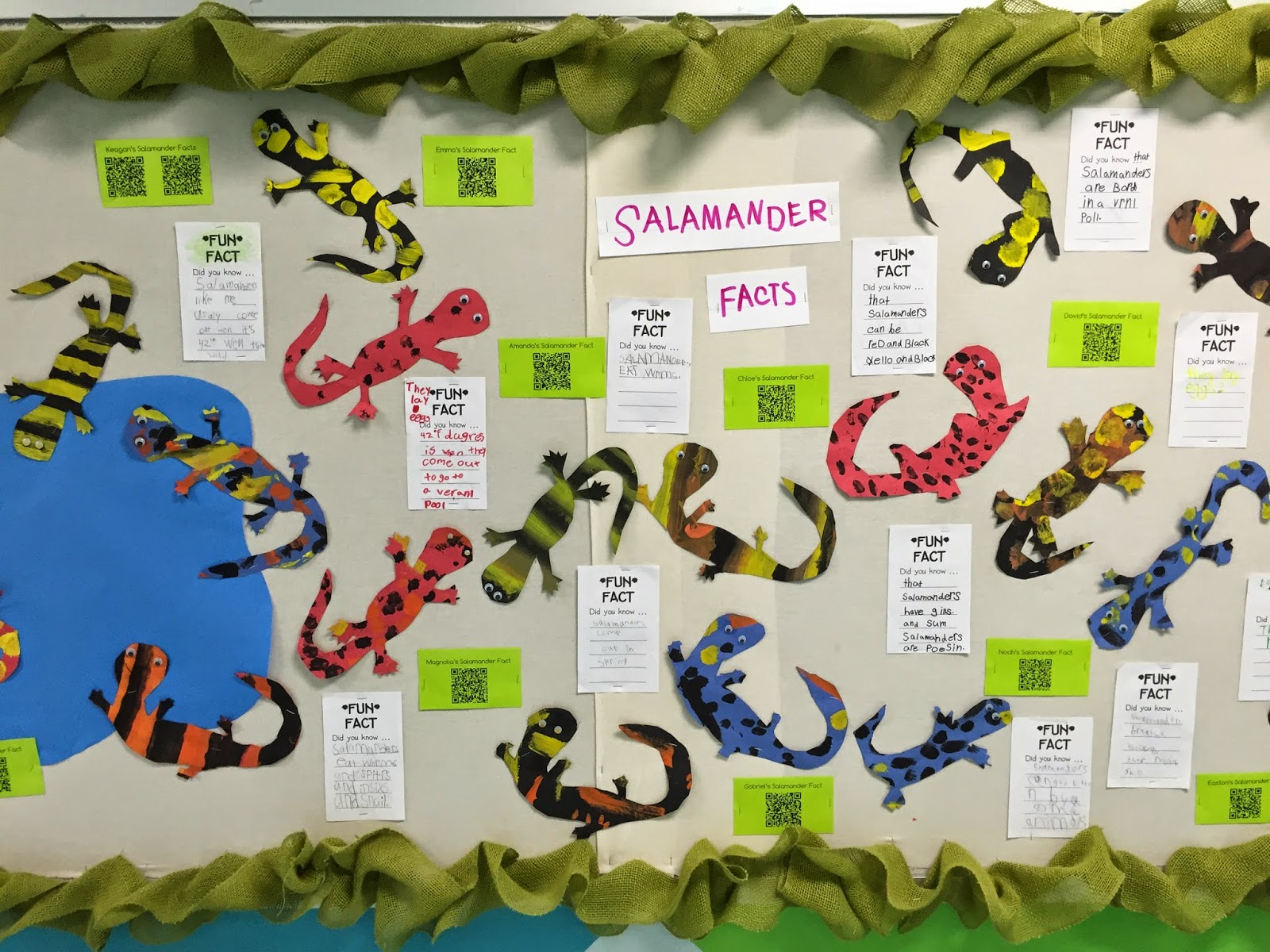 Zig's Kids: Salamanders!