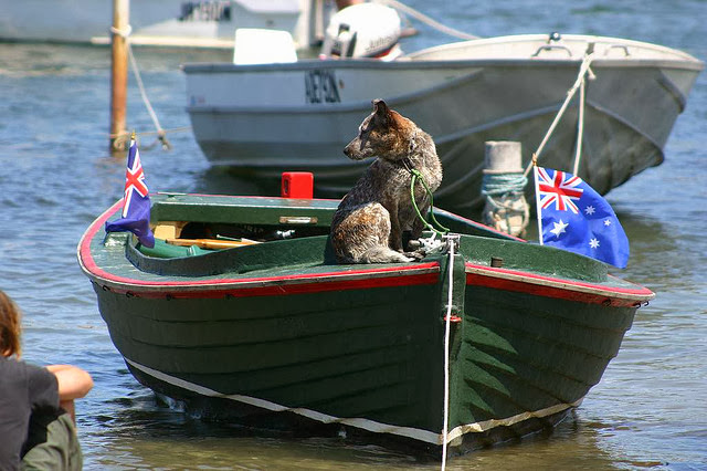 A Tonk's Tail... err, Tale...: Thursday Trivia: the Sea Dog and the ...