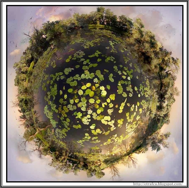 Ehil Kalem: Dünya Resimleri