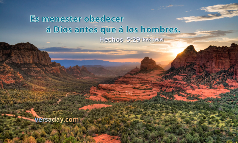 Aprendiendo la Sana Doctrina: LA OBEDIENCIA A DIOS Aprendiendo la Sana Doctrina: LA OBEDIENCIA A DIOS