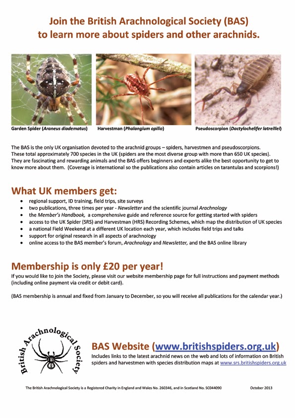 Arachnerds: Spiders Calendar 2014