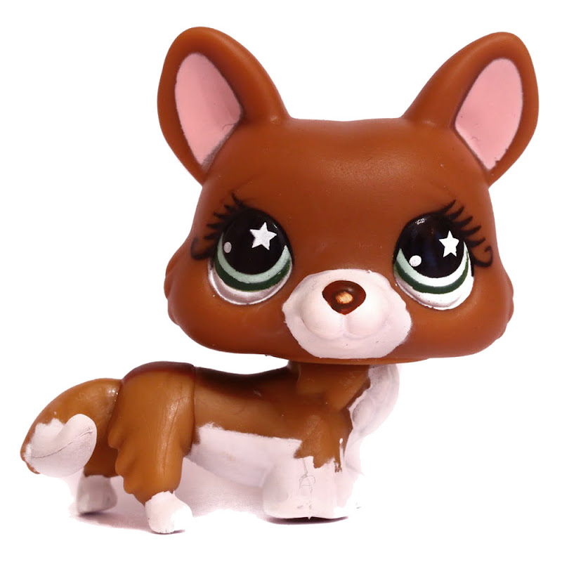 Littlest Pet Shop Singles Corgi (#897) Pet | LPS Merch