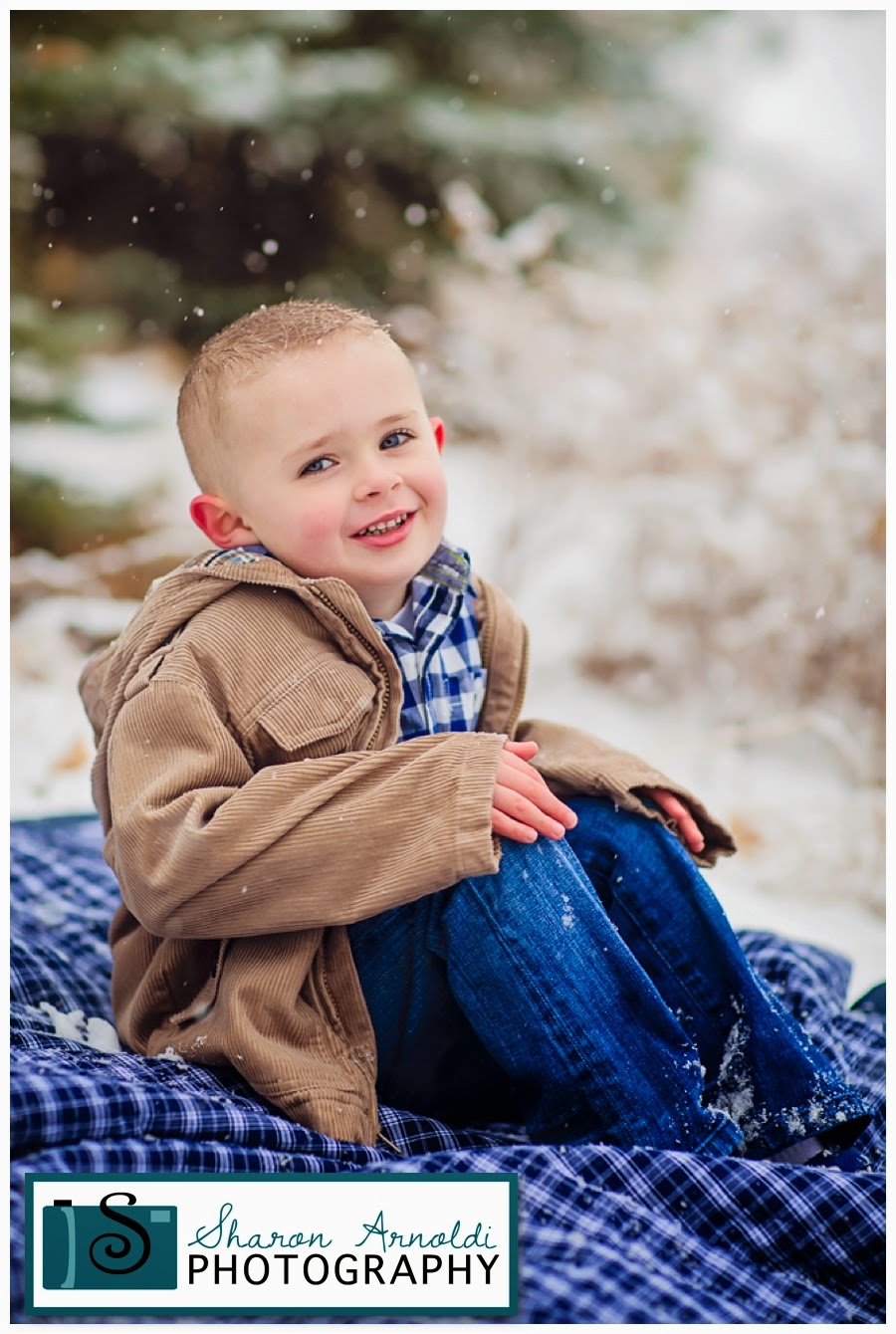 OLD BLOG, NEW BLOG HERE: http://www.sharonarnoldi.com/blog : Highlands ...