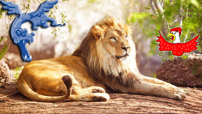 Planète Sporting Clube de Portugal: Liga : Vitória FC vs Sporting CP