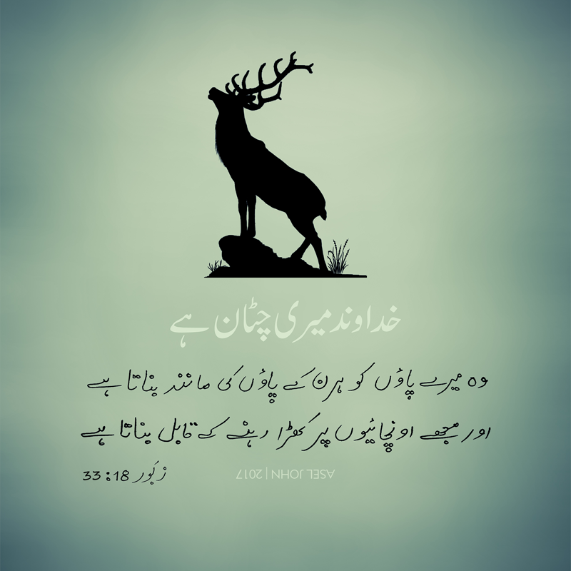 Urdu Bible Text: Urdu Bible verse