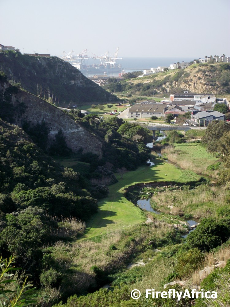 View From River Valley