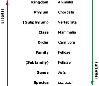 Learner, Reader, Writer: What on Earth is Taxonomy?