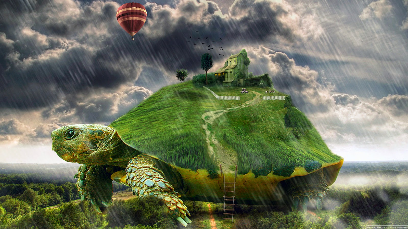 How the Tortoise Became Bald || Kenapa Kura-Kura Bisa Botak || African ...