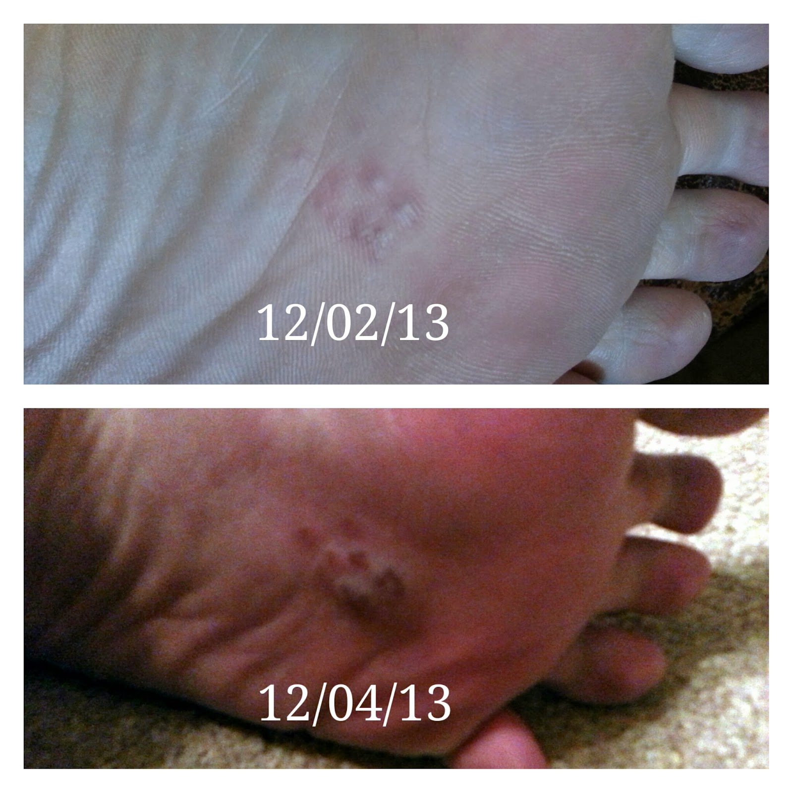 Four Miles North of Nowhere: December 2013