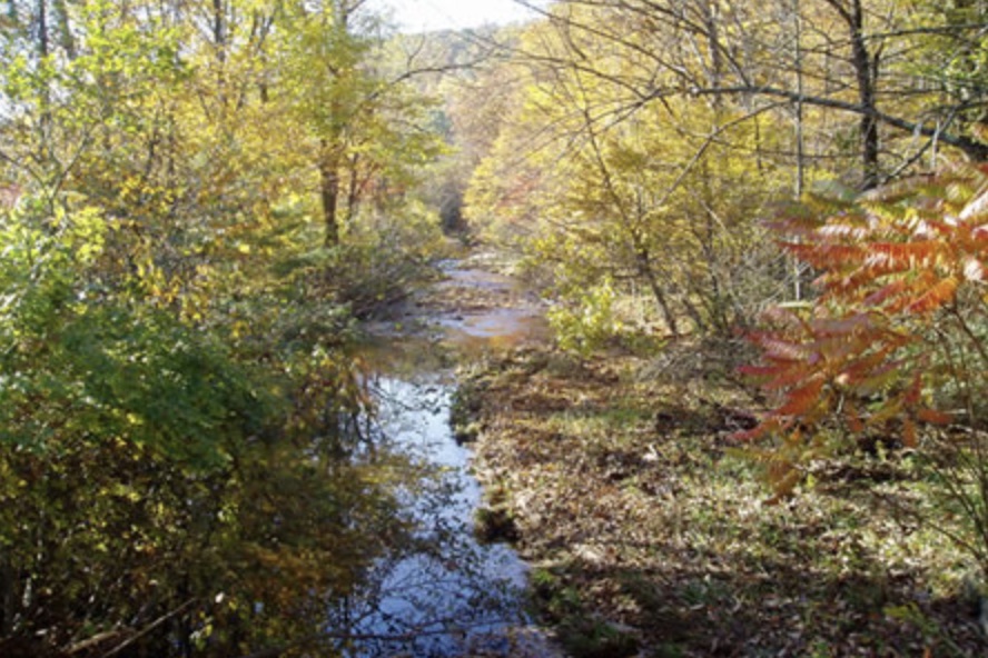 PA Environment Digest Blog: Penn State Extension Woods In Your Backyard ...