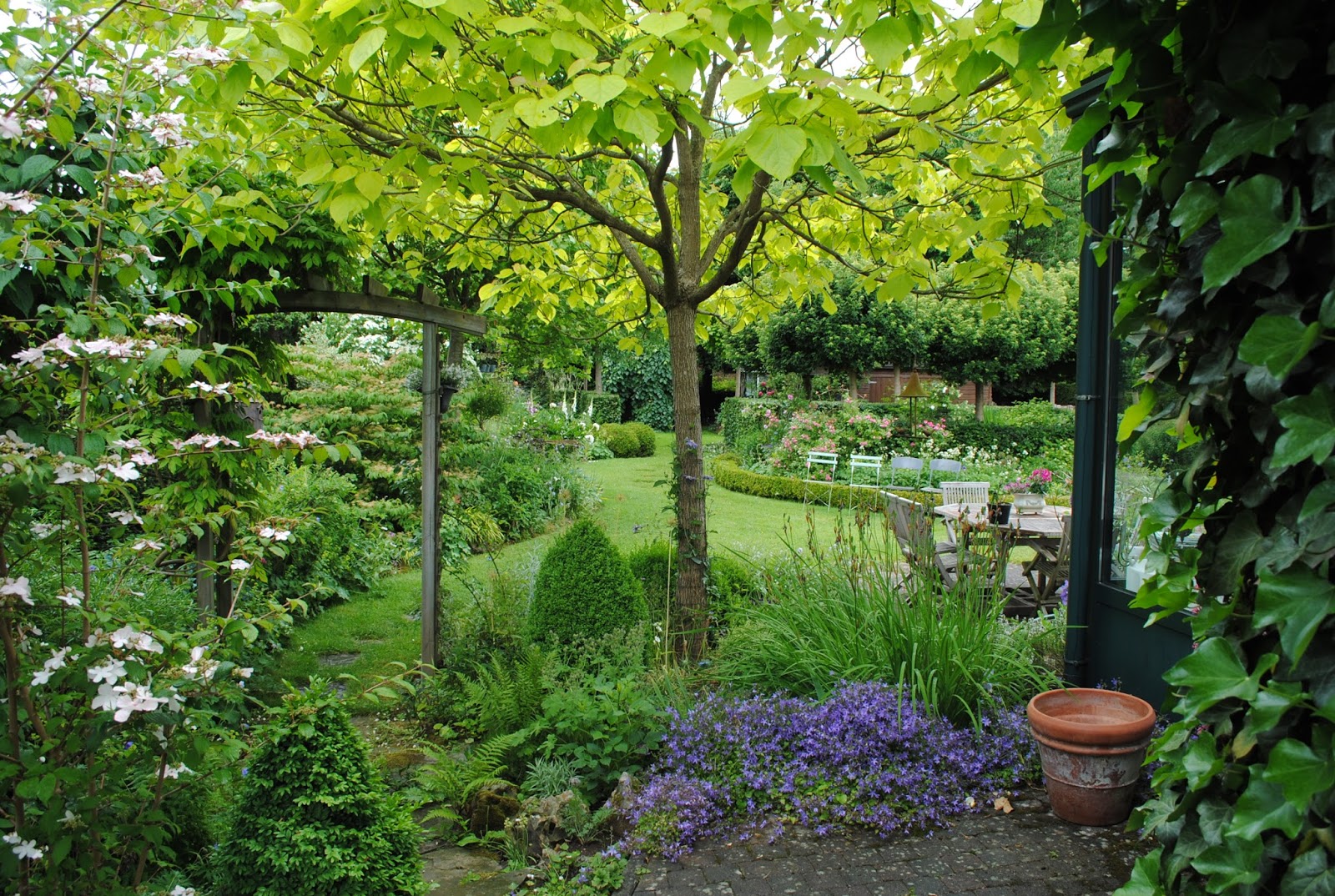 La passion d'Anne-Marie: Mes arbres pour mon petit jardin